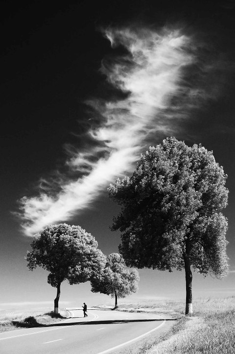 ultimate guide to black and white photography - Photography Project