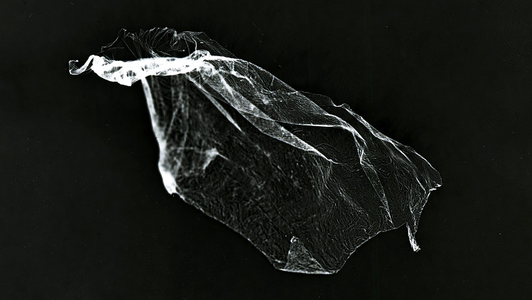How to create contact prints, photograms and rayographs - Photography ...