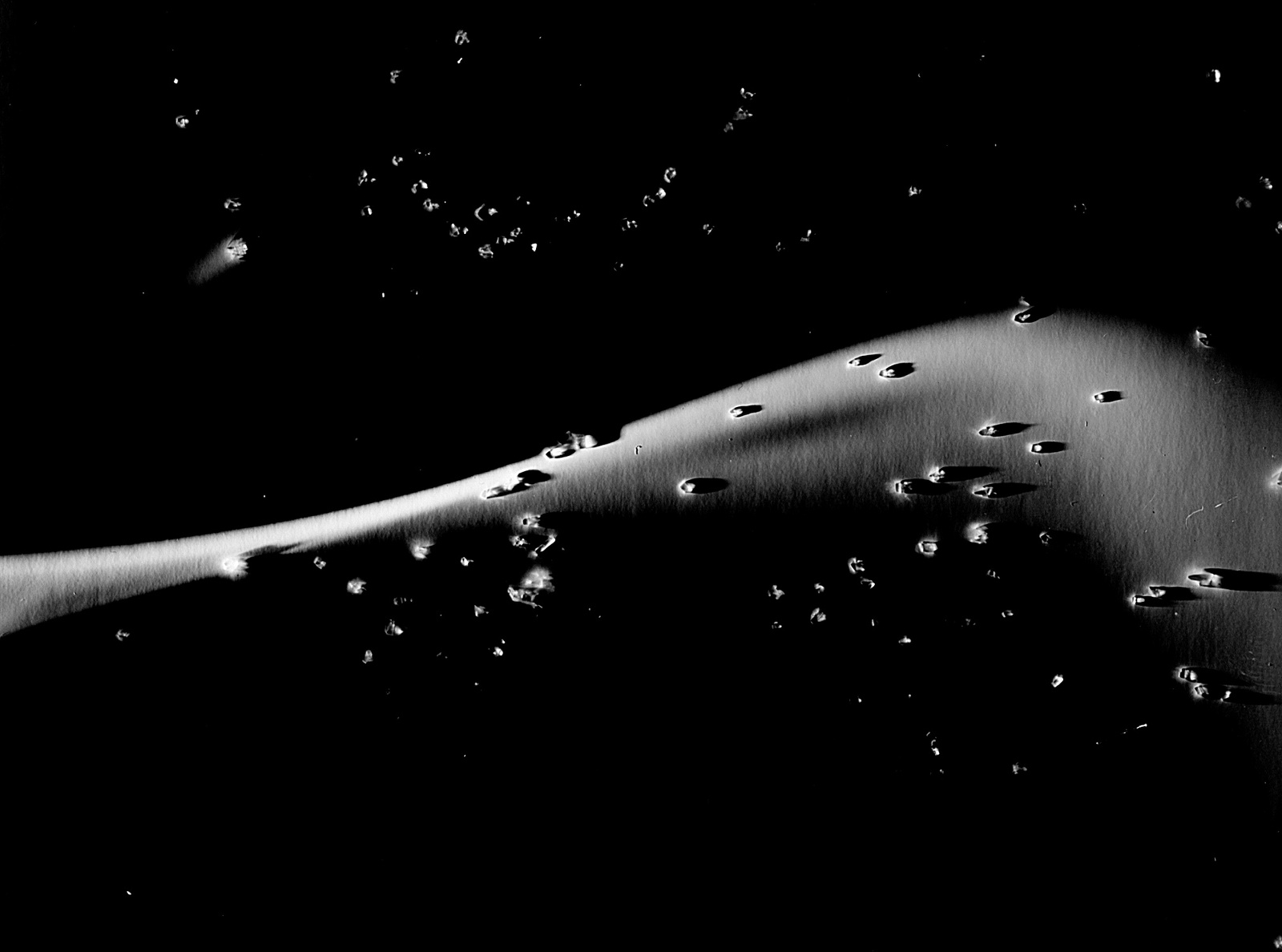 How to create contact prints, photograms and rayographs - Photography ...