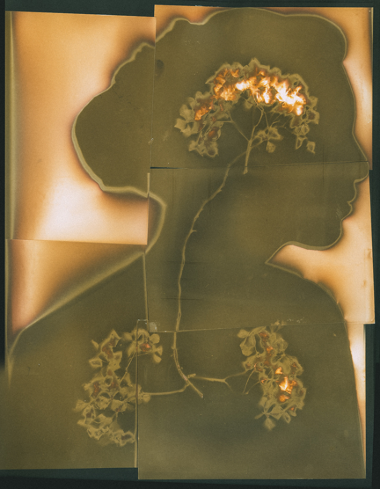 how to make creative lumen prints - Photography Project