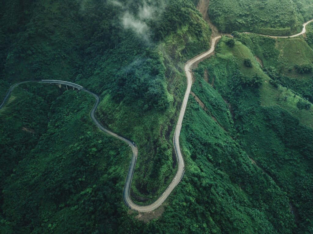 Public Domain Images: Everything You Need to Know - Photography Project